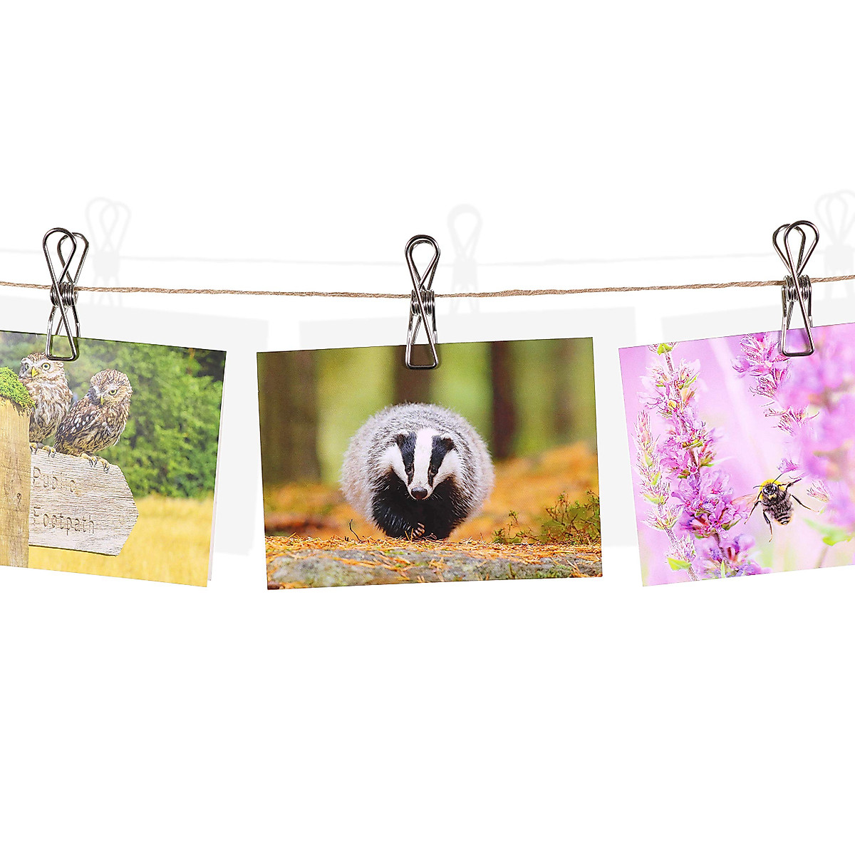 Oakenleaf Clothespins Stainless Steel Will Not Rust 316 Marine Grade 40 Piece Wire Durable Hurricane Proof Clothes Pegs Modern & Eco Friendly 2.3inch - The Forever Peg