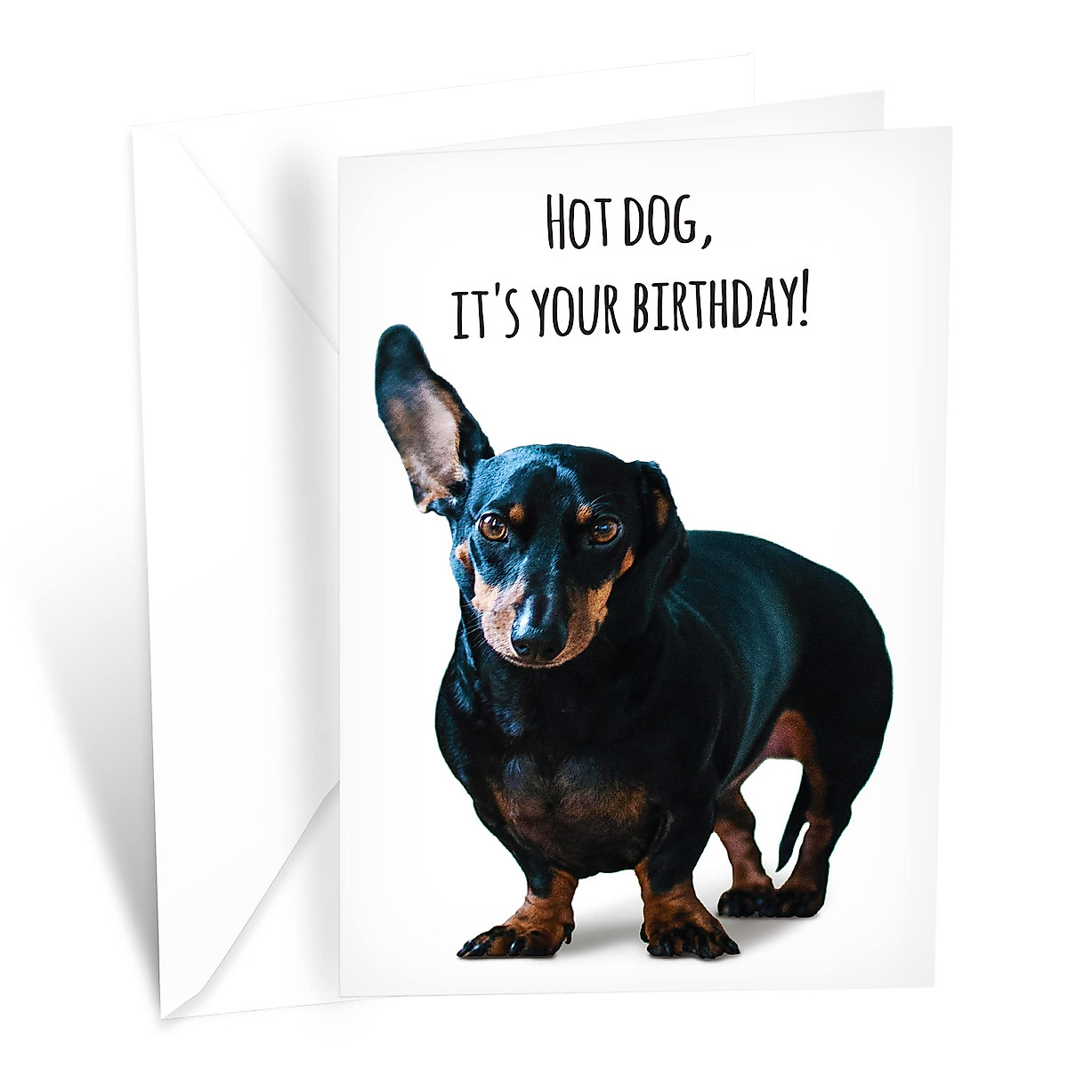 Prime Greetings Funny Dog Birthday Card Pun With Wiener, Made in America, Eco-Friendly, Thick Card Stock with Premium Envelope 5in x 7.75in, Packaged in Protective Mailer