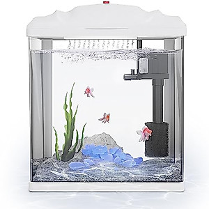 TARARIUM Glass Betta Fish Tank Set Up Aquarium Starter Kit Small Nano 2 Gallon with Waterfall Filter and Planted Light, Self Cleaning for Shrimp Goldfish Desktop Office Home Room Decor