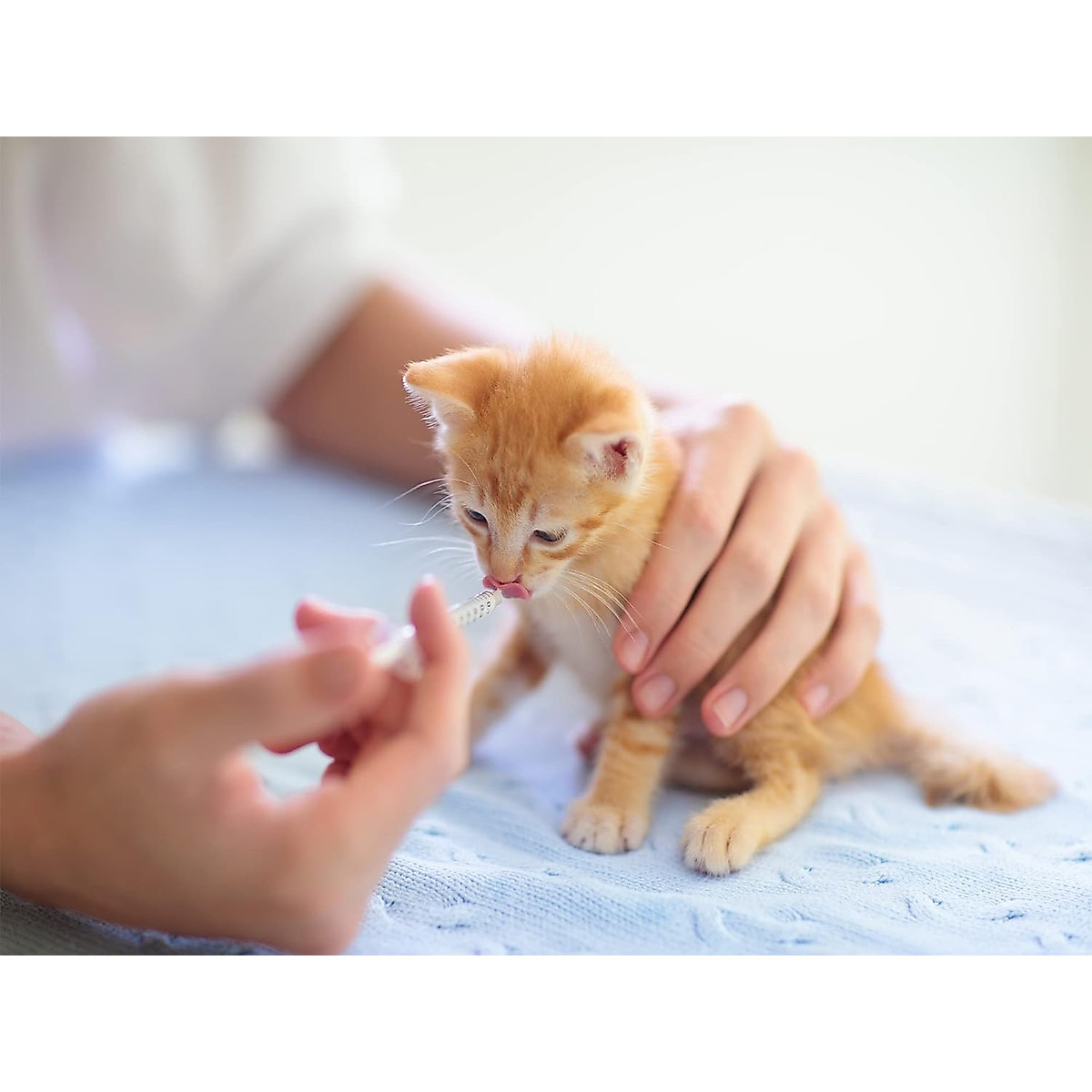 Blue 50 Pcs 1ml 1cc Plastic Syringe No Needle Syringe for Pets Oral, Refilling, Oil or Glue Applicator, Measuring or Transfering Tiny Amount of Liquids, Without Cap