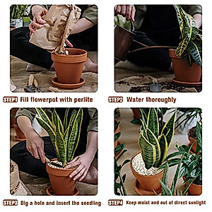 Halatool 2 QT Perlite 3-6 mm Horticultural Organic Perlite Bulk for Plants Natural Potting Soil Mix Additive for Indoor & Outdoor Planting