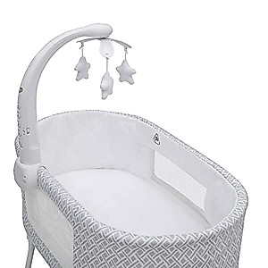 Delta Children Sweet Slumber Bassinet, Garden Path