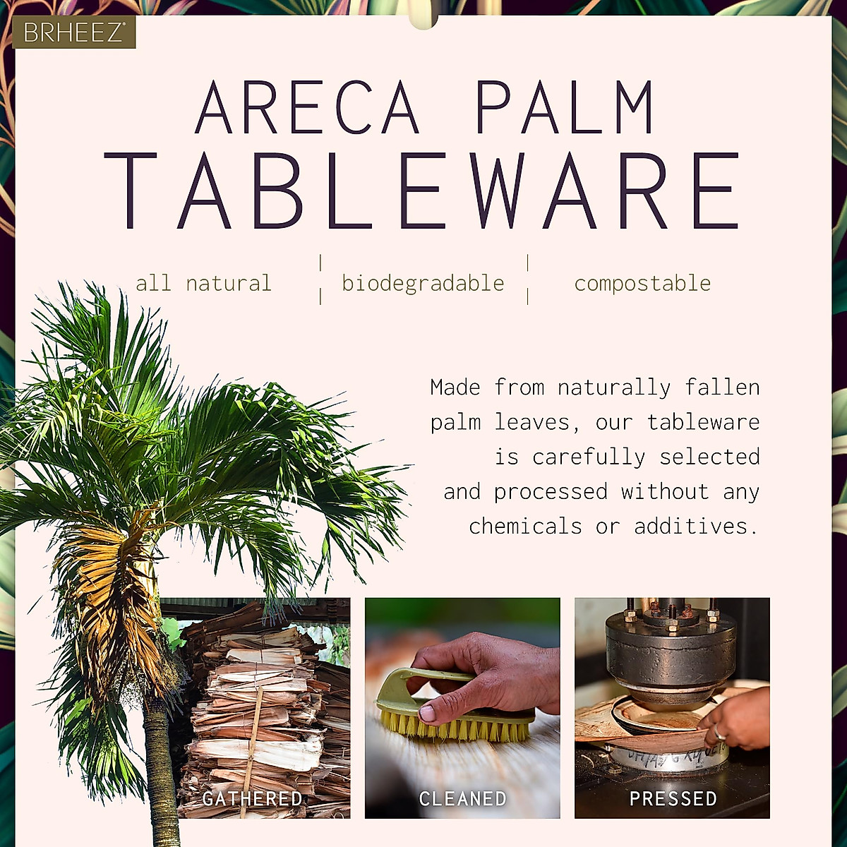 brheez Bamboo Plates made from Palm Leaf 25 Party Plates 10 Inch Eco Friendly Compostable & Biodegradable – Disposable Plates Heavy Duty and More Environmentally Friendly than Paper Plates