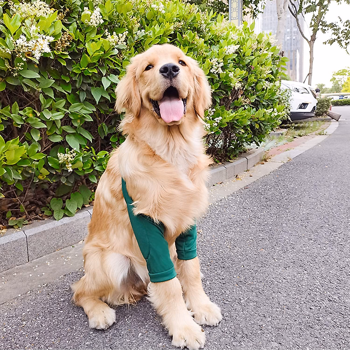 HDKUW Dog Elbow Protector, Dog Front Leg Recovery Sleeve for Prevent Licking Wound, Elbow Sleeves with Mesh Pad for Medium Large Dogs Green XL