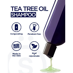 Krieger + Shne Shampoo for Men - 16oz (1 Bottle) Invigorating Shampoo with Tea Tree Oil & Peppermint Oil, Paraben Free Formulated to Heal Dry Scalp, Dandruff, and Prevent Hair Loss