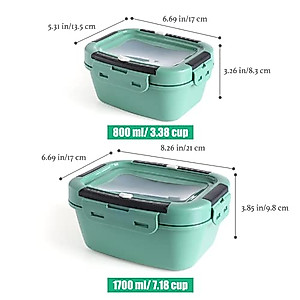 TeTeBak Food Storage Containers with Lids - BPA-free Plastic Airtight Food Storage Containers, Date-Tracker Bento Box Adult Lunch Box, Sets of 2