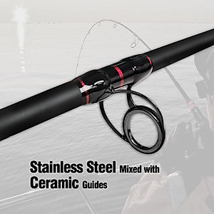 Fiblink Surf Spinning Fishing Rod Graphite Travel Fishing Rod (Red, 9 Feet - 4Pcs)