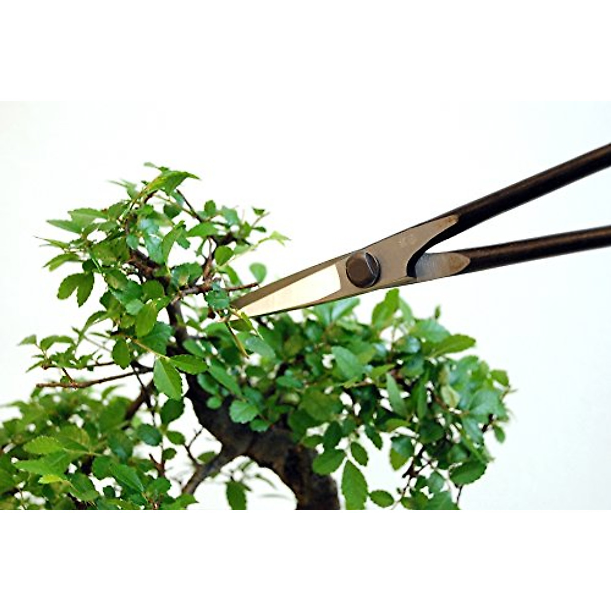 Okatsune 207 Pine Needles Shears with BP