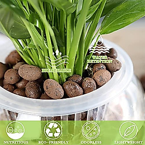 Halatool 6 LB Organic Clay Pebbles 4mm-16mm Leca for Plants 100% Natural Hydroton Clay Pebbles for Hydroponic Growing Gardening Orchids Drainage Decoration Aquaponics