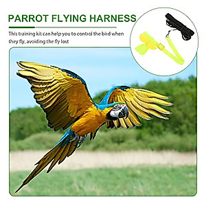 Ipetboom Rabbit Toys Rope Leash Pet Parrot Bird Harness Leash Pet Anti- bite Flying Training Rope for Budgerigar Lovebird Cockatiel Mynah Small Birds Yellow Tool Toys Bunny Toys