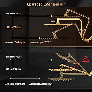 PinWin 12'' Dual Shower Head with Adjustable Extension Arm and 6-Setting Handheld Shower Head Combo, Brushed Gold