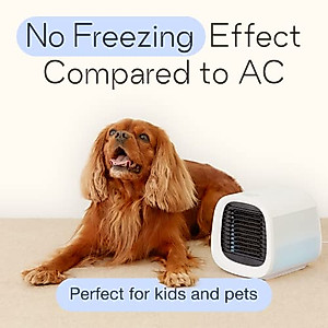 Evapolar evaCHILL Portable Air Conditioners / Mini AC Unit / Small Personal Evaporative Air Cooler and Humidifier Fan for Bedroom, Office, Car, Camping / EV-500 / Urban Gray
