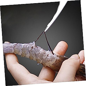 Lobster Crackers 1 Set Stainless Steel Shrimp Opener Tools for Fish Scale Remover Oyster Crackers Oyster Opener Shrimp Peeler Tool Shrimp Deveiners Shrimp Cleaning Supplies Chunk