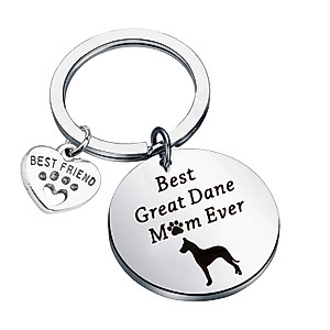 FUSTMW Great Dane Lover Gifts Best Great Dane Mom Ever Keychain Great Dane Mom Gifts for Dog Owners (silver)