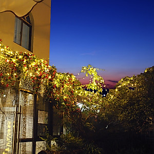 LALAPAO 2 Pack Solar String Lights 85ft 240 LED 8 Modes Solar Powered Outdoor Lighting Waterproof Christmas Fairy Lights for Xmas Tree Garden Homes Ambiance Wedding Lawn Party Decor (Warm White)