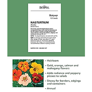 Burpee Alaska Mix Nasturtium Seeds 125 seeds