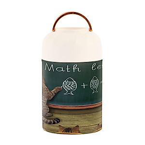 CUPADA Funny Cat Teacher Food Jar, Math Lesson Insulated Hot Food Jars Vacuum 17OZ with Folding Spoon for Work Trip Picnic Camping
