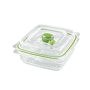 FoodSaver B01AJJ1WPI Vacuum Sealed Fresh Container, 3 Cup, Clear