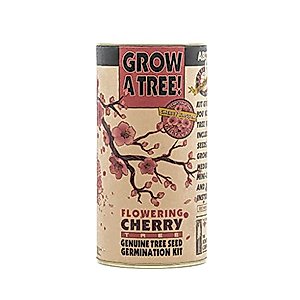 Flowering Cherry Blossom | Tree Seed Grow Kit | The Jonsteen Company