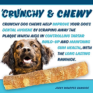 Texas Pet Company Chicken Jerky Dog Treats Soft, Crunchy & Chewy Dog Chicken Jerky for Dogs Wrapped Rawhides, Large Dog Treats, 2 in 1 Healthy Dog Treats for Large Dogs | USA Made Mega Size 1 Ct