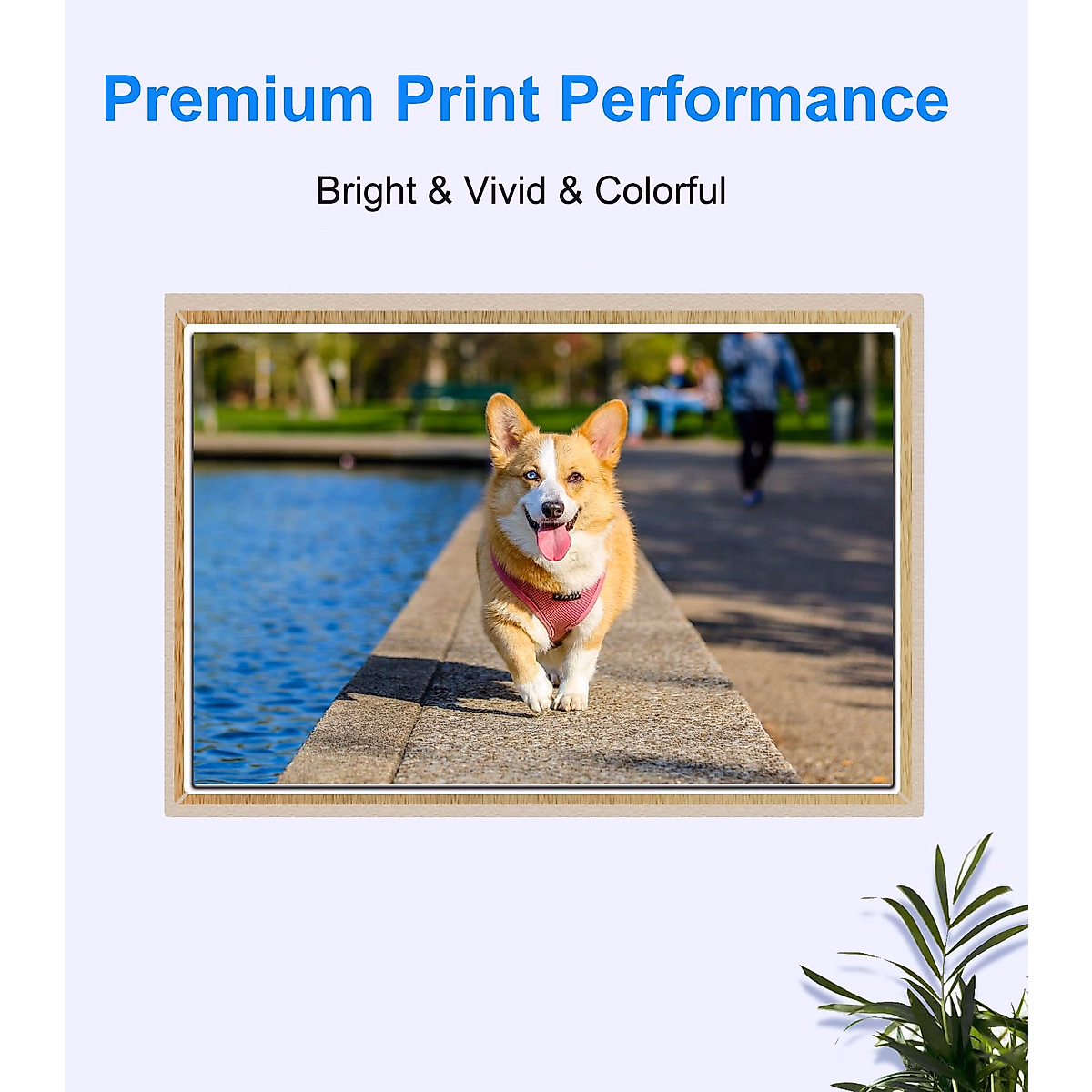 OGOUGUAN 206X Toner Cartridges Compatible for HP 206X 206A W2110X W2110A Work for HP Color MFP M283fdw M283cdw M283 Pro M255dw M255 Series Printer,4 Pack High Yield (with Chip)