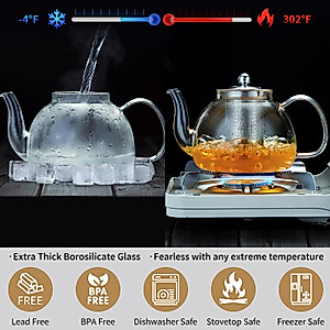 DOPUDO 40OZ (1200ML) Glass Teapot Tea Pot With Infuser, Glass Kettle For Stove Top, Tea Glass Pot, Glass Tea Cup With Infuser And Lid For Loose Leaf Tea Steeper, Microwave Dishwasher Safe