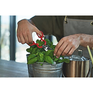 Zwilling J.A. Henckels Classic cuisine shears black 43927-200 43927-200