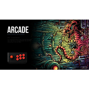 256 GB Retropie SD Card for Raspberry Pi 4 - 24.000 Retro Classics with Video Previews