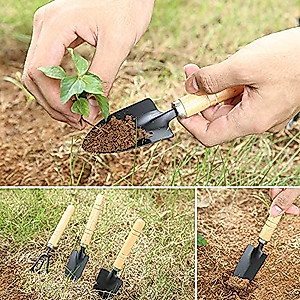 Gardening Tool Set (6 Pcs) Spade Shovel Rake for Garden Plants Care House Plants Flower Pot Cactus Vegetables Kids Indoor Small Plants Mini Medium Plant Tool Succulent Kit