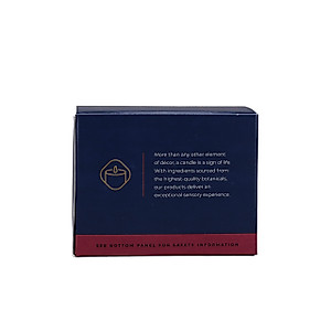 Trapp - No. 24 Wild Currant - 3.75 oz. Small Poured Candle - Aromatic Home Fragrance with Fruity Scent of Red Currant, Cassis Noir, & Spanish Moss Notes - Soy Wax Blend