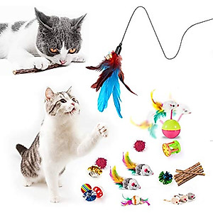 MIBOTE 28Pcs Cat Toys Kitten Toys Assorted, Cat Tunnel Catnip Fish Feather Teaser Wand Fish Fluffy Mouse Mice Balls and Bells Toys for Cat Puppy Kitty