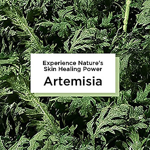 BRING GREEN Artemisia Calming Repair Cream - Daily Skincare Routine for Redness Relief, Soothing Sensitive, Irritated Skin with Salicylic Acid 2.53 fl.oz, 75ml