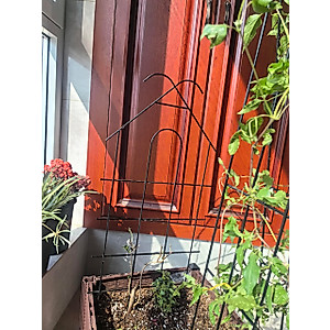 ARIFARO 24'' Metal Garden Trellis for Climbing Plants, Indoor/Outdoor Sturdy Plant Trellis for Potted Plants,House Plants, Climbing Vines, Pack of 4, Black