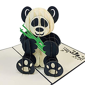 Panda Pop Up Card by DEVINE Popup Cards | Pop Up Birthday Cards for Women Mom Wife | Funny 3D Pop Up Greeting Cards | Love Mother Kids Son Daughter