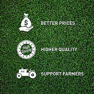 Hancock Seed Co. Highlander Turf Bermuda Grass Seed - 10 lbs.