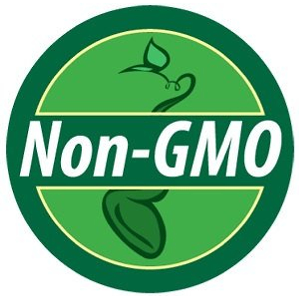 Non GMO Bulk All Perennial Wildflower Seed Mix (1/2 Lb) 188,000 Seeds