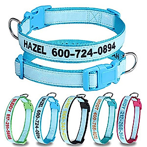 Wlitchi Personalized Reflective Dog Collars, Custom Glowing Luminous ID Collar Embroidered Name and Phone Number 4 Adjustable Sizes X-Small Small Medium Large for Boy and Girl Dogs (Fluorescent Glow)