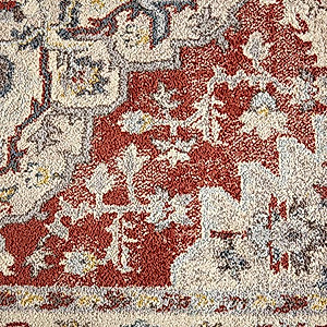 Home Dynamix Venice Loreta Area Rug, 7 ft 10 in x 10 ft 2 in, Terra-Ivory