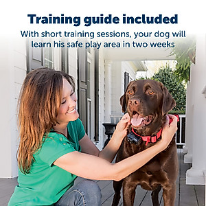PetSafe Wireless Pet Fence Containment System Receiver Collar Only for Dogs and Cats Over 8 lbs., Waterproof with Tone and Static Correction - from The Parent Company of Invisible Fence Brand