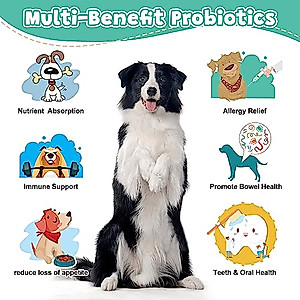 Probiotics for Dogs and Digestive Enzymes, 114 Chews