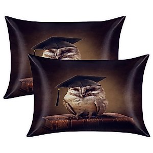 Scholar Owl Bird Satin Pillow Cases Silk Satin Pillowcase for Hair and Skin Standard Set of 2 Super Soft Silk Pillowcase with Envelope Closure (20x26 in)
