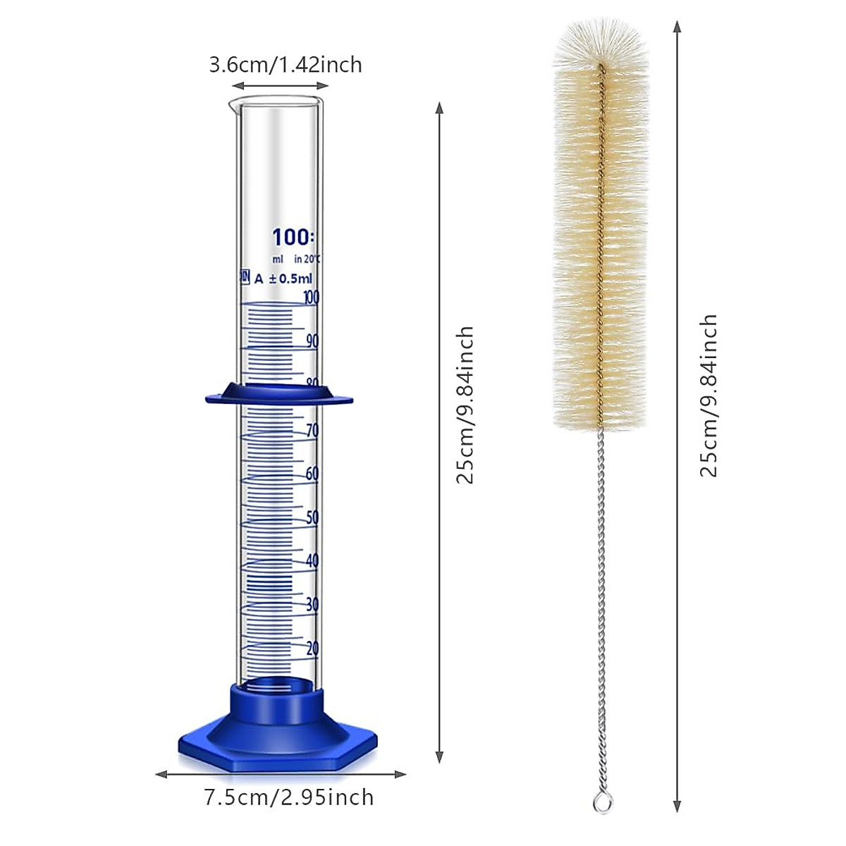 5PCS Graduated Cylinder Measuring Cylinder Thick Glass Lab Cylinders (100ML)