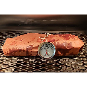 SpitJack Dual Sensor Meat and Oven Thermometer for Rotisserie Cooking Whole Pig, Hog, Lamb and Turkey. Internal and External Meat Probe for Grill, Smoker, Oven and Kitchen (2 Pack)