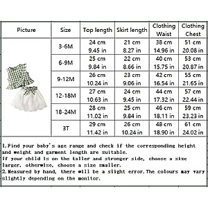 Lamgool Toddler Baby Girls Ruffle Sleeveless Shirt Top + Bowknot Skirt Set Summer Clothes 2 Piece 3T