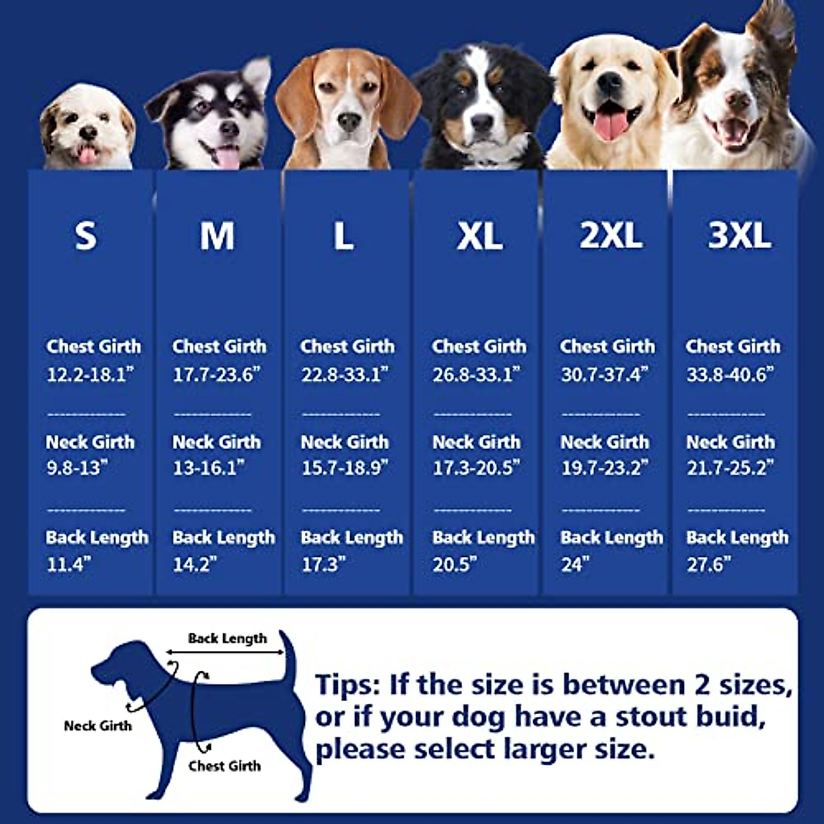 Fragralley Dog Winter Coat Jacket - Reflective Adjustable Windproof Dog Turtleneck Clothes, Doggie Cold Weather Vest, Warm Fleece Lining Puppy Snow Coat for Small Medium Large Dogs (Medium, Blue)