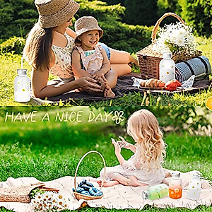 3 Pcs 480ml/16oz Cute Glass Water Bottles Reusable Aesthetic Milk Juice Water Bottles with Scale 6 Lids and 3 Straws Portable Matte Glass Cups Little Daisy Kawaii Frosted Bottles for Women Girls