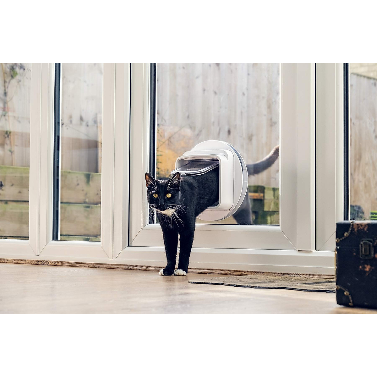 SureFlap Microchip Cat Door Connect, 5.13" L X 5.63" W X 4.75" H, Small, White