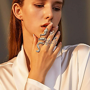 GRAEEN Snake Ring Vintage Snake Knuckle Rings Statement Biker Stackable Ring Reptile Serpent Band Ring Jewelry for Women (Style B)