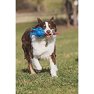 Multipet's 11.5-Inch Latex Polka Dot Globken Chicken Dog Toy