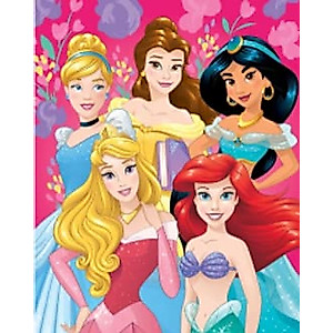 The Northwest Store Disney Princess Silk Throw Soft Blanket 40''x50'' Cinderella, Belle, Jasmine, Aurora and Ariel, Multicolor